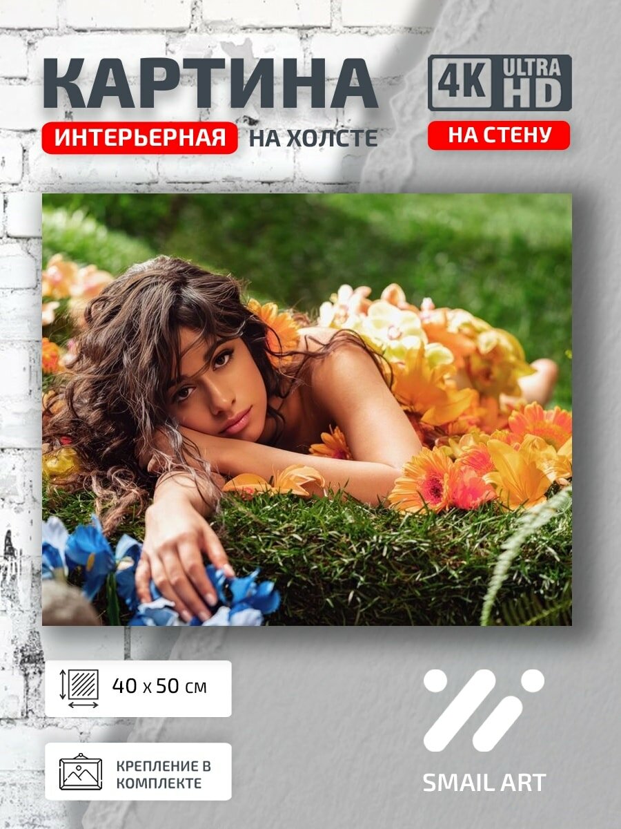Картина на холсте интерьерная 40 на 50 на стену Камила Кабельо для студии атмосфера
