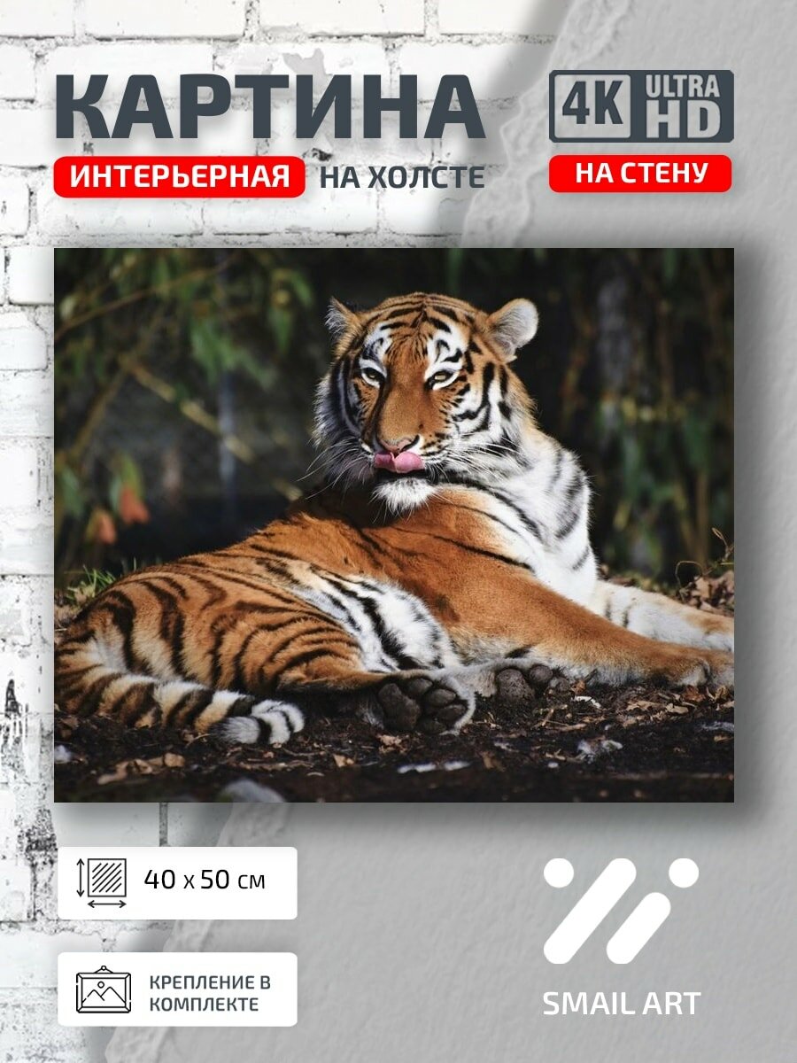 Картина на холсте интерьерная 40 на 50 на стену тигр Хищник для студии атмосфера