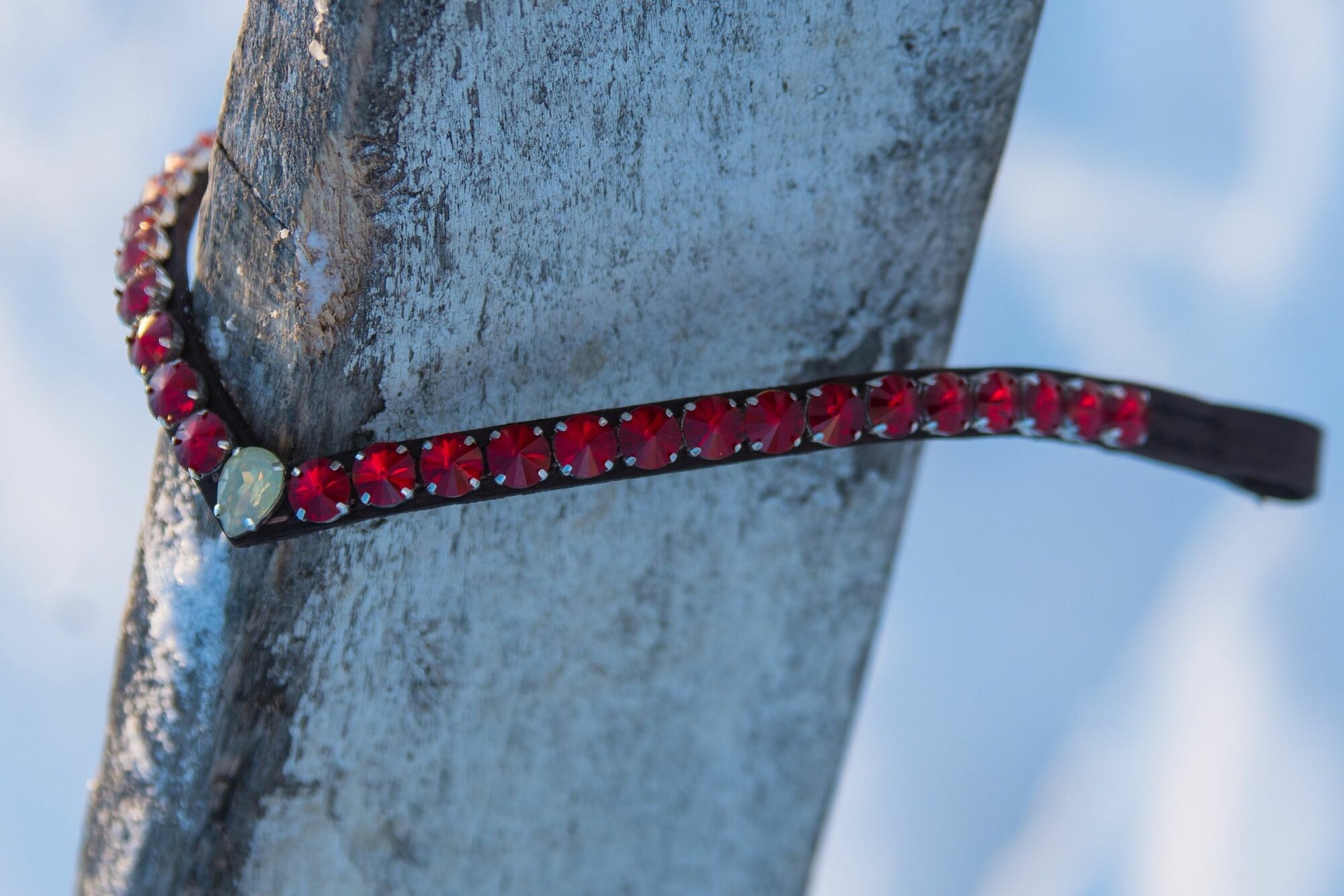 Налобник для лошади