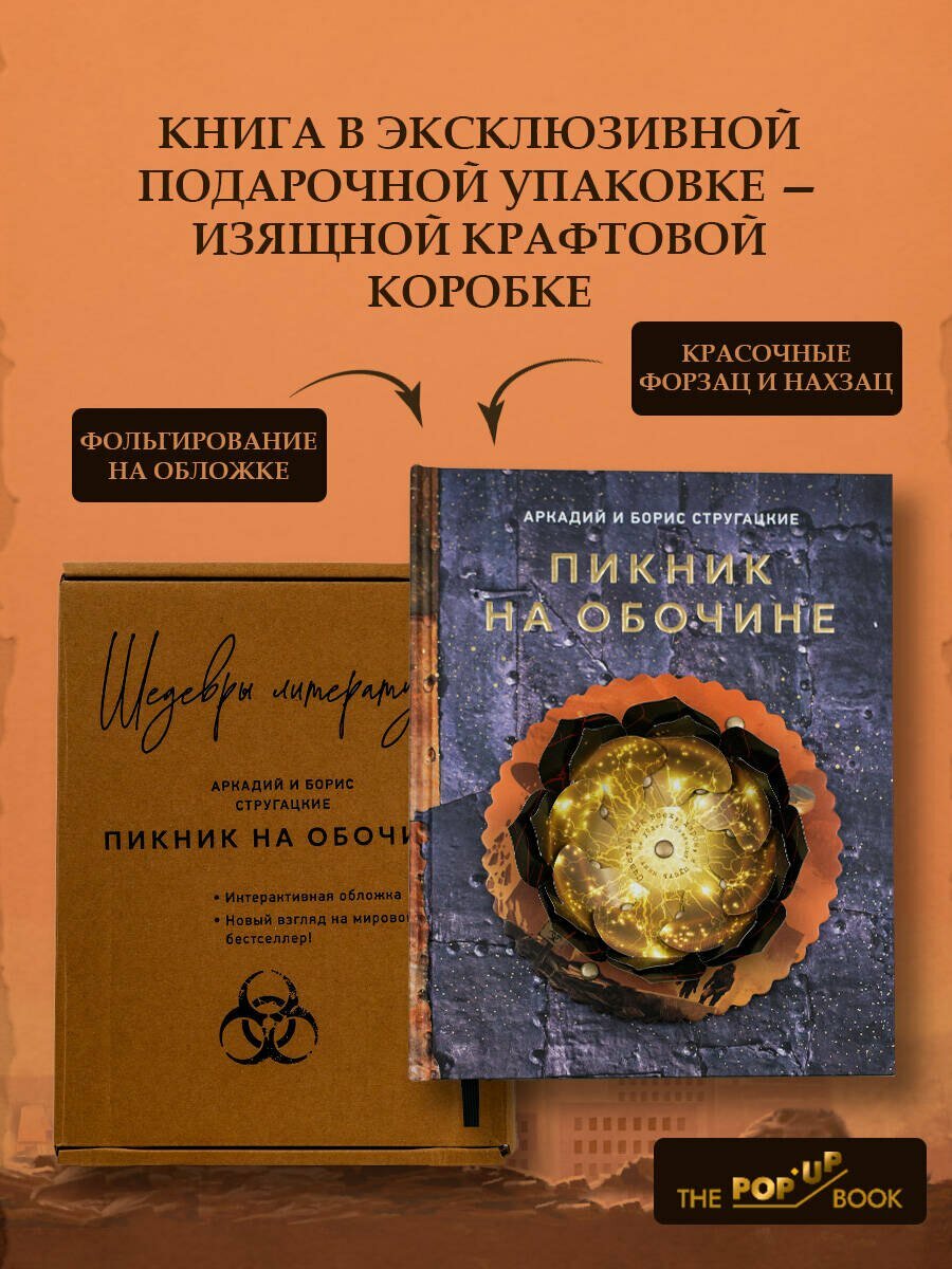Пикник на обочине(Борис Стругацкий, Аркадий и Борис Стругацкие)