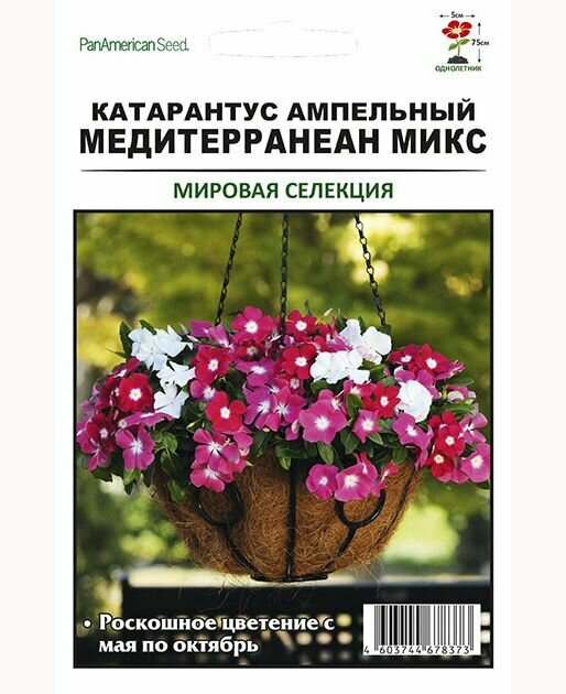 Катарантус ампельный Медитерранеан Микс 5 шт (мировая селекция)