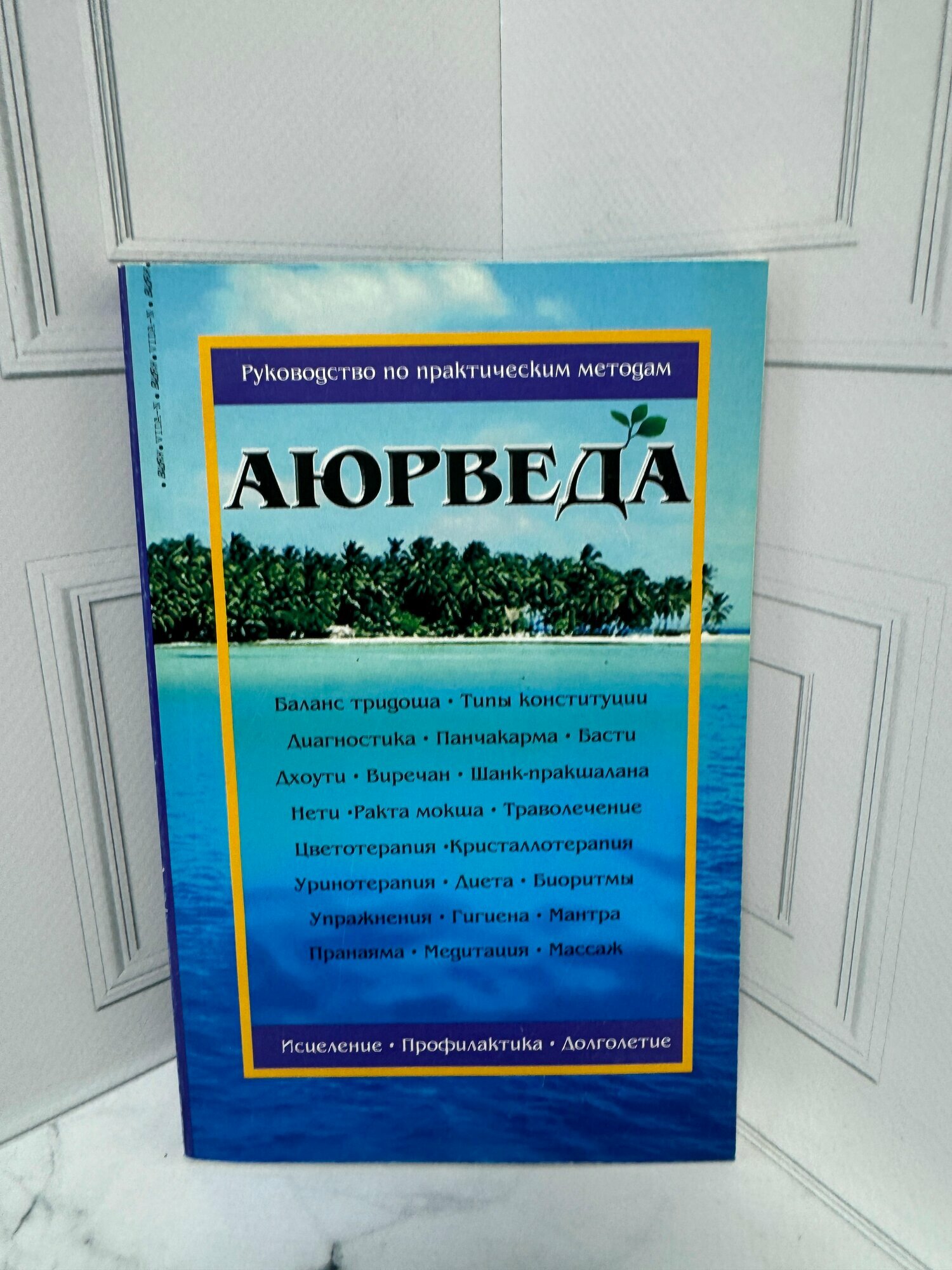 Аюрведа: руководство по практическим методам Бородкин В. И.
