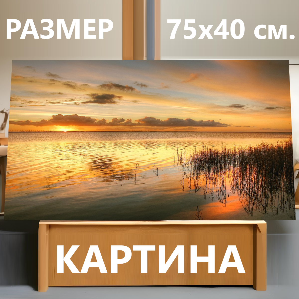 Картина на холсте "Восход солнца, тростник, пейзаж" на подрамнике 75х40 см. для интерьера