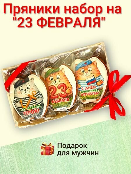 Пряники набор на 23 февраля для мужчин fit_fruit74, имбирные медовые в подарочной коробке.