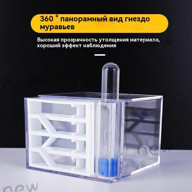 Муравьиная ферма — фото 1