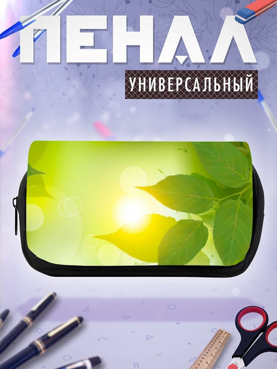 Школьный пенал векторная графика иллюстрация