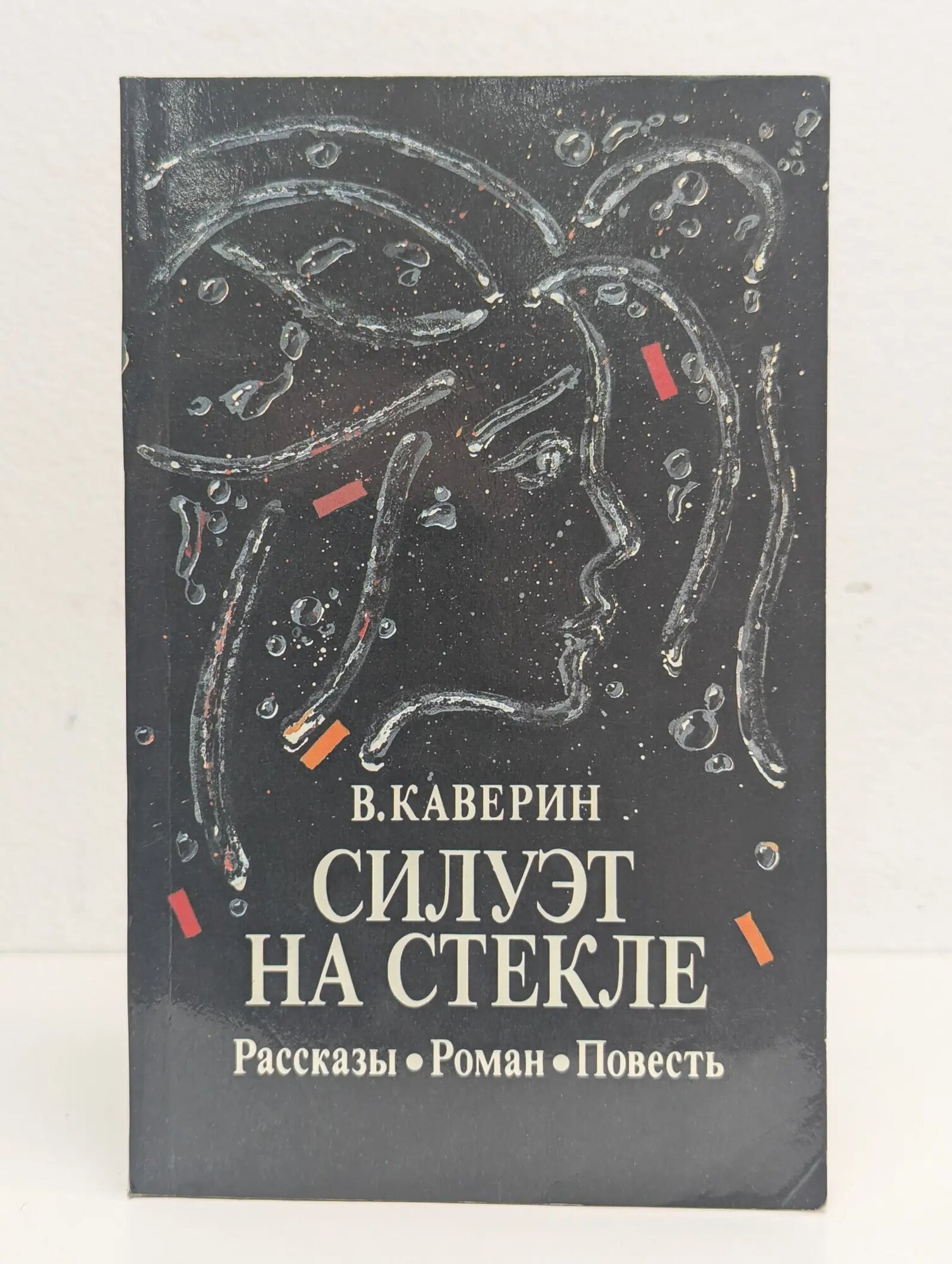 Силуэт на стекле Каверин Вениамин Александрович 1988