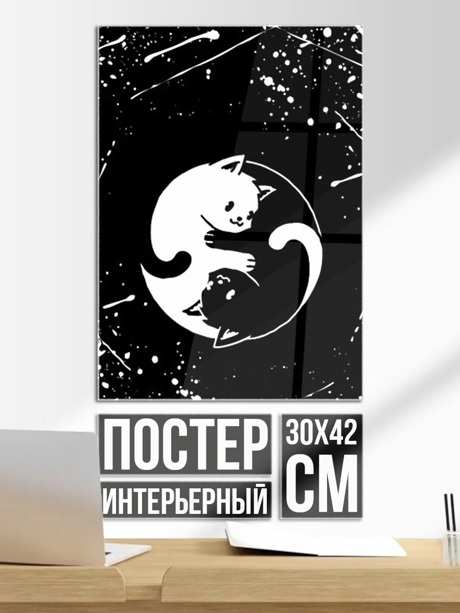 Постер на стену Инь Янь котики брызги и ничего лишнего