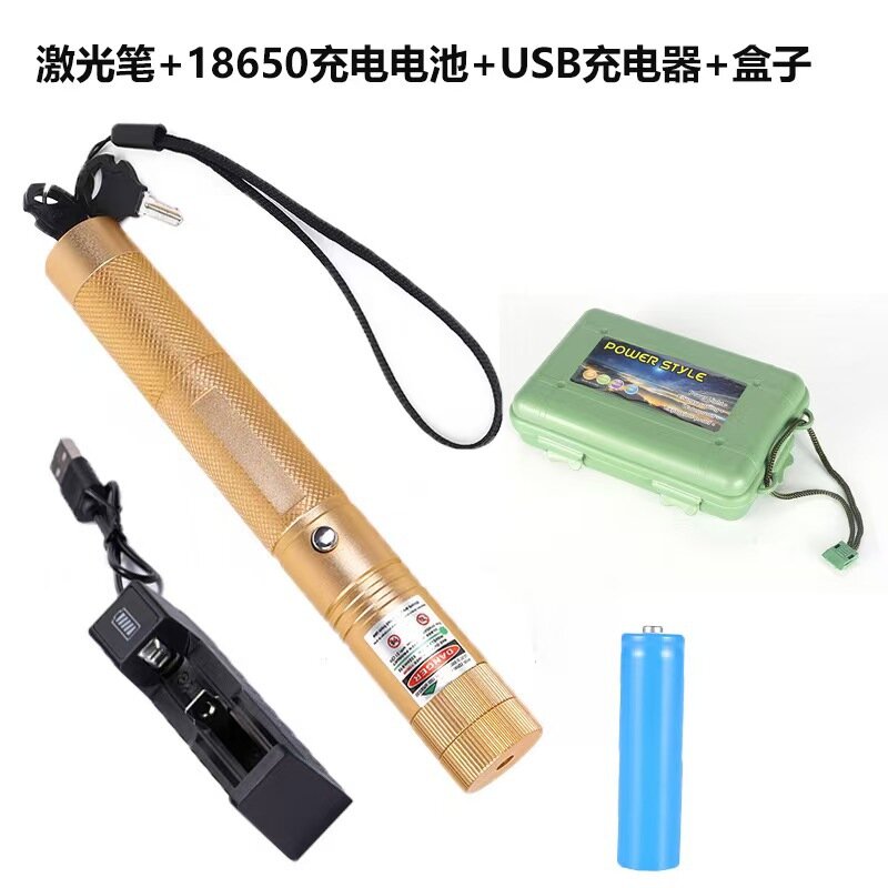 303 мощный лазерный фонарик красный зеленый внешний лазерный фонарик Местный золотой корпус + аккумулятор + зарядное