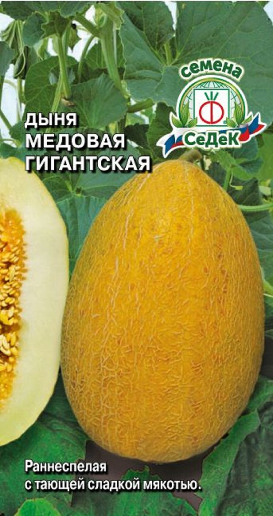 Дыня Медовая гигантская F1 цв. п 0,5г Седек