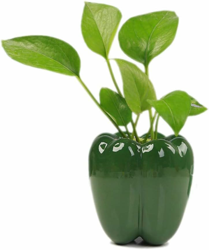 HAQI Керамическая гидропонная ваза "Зеленый болгарский перец" для декора и выращивания растений