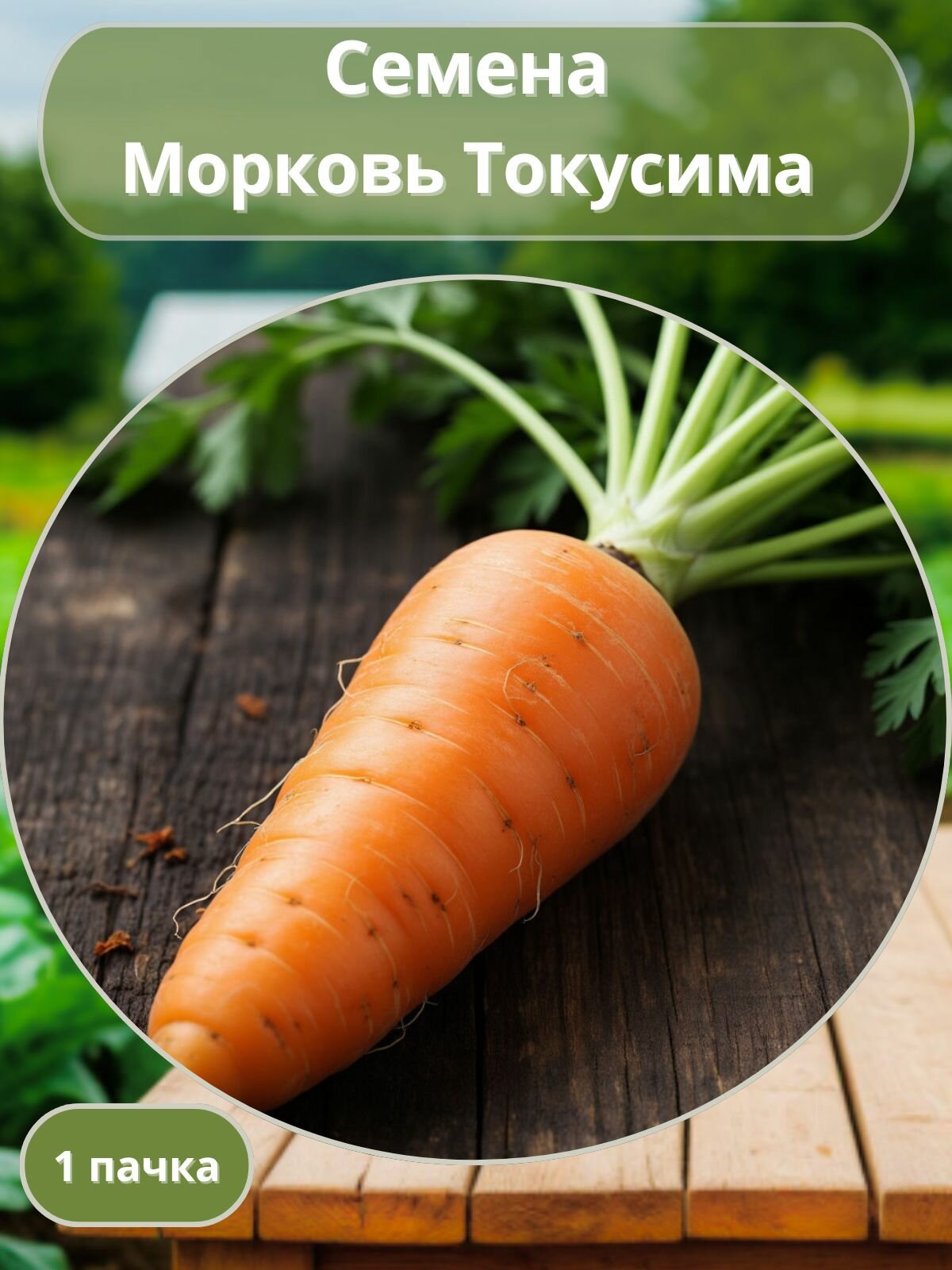 Морковь Токусима, семена 10 шт