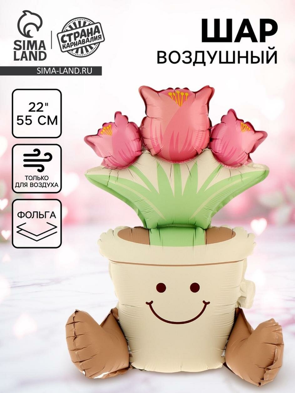Шар фольгированный 22" «Цветок в горшке», матовый, под воздух