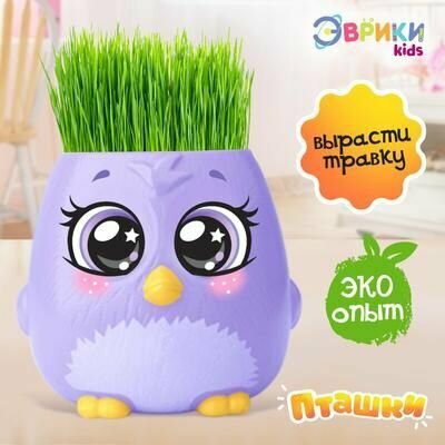Набор для опытов, для детей Пташки, выращиваем травку, растение в фиолетовом горшочке