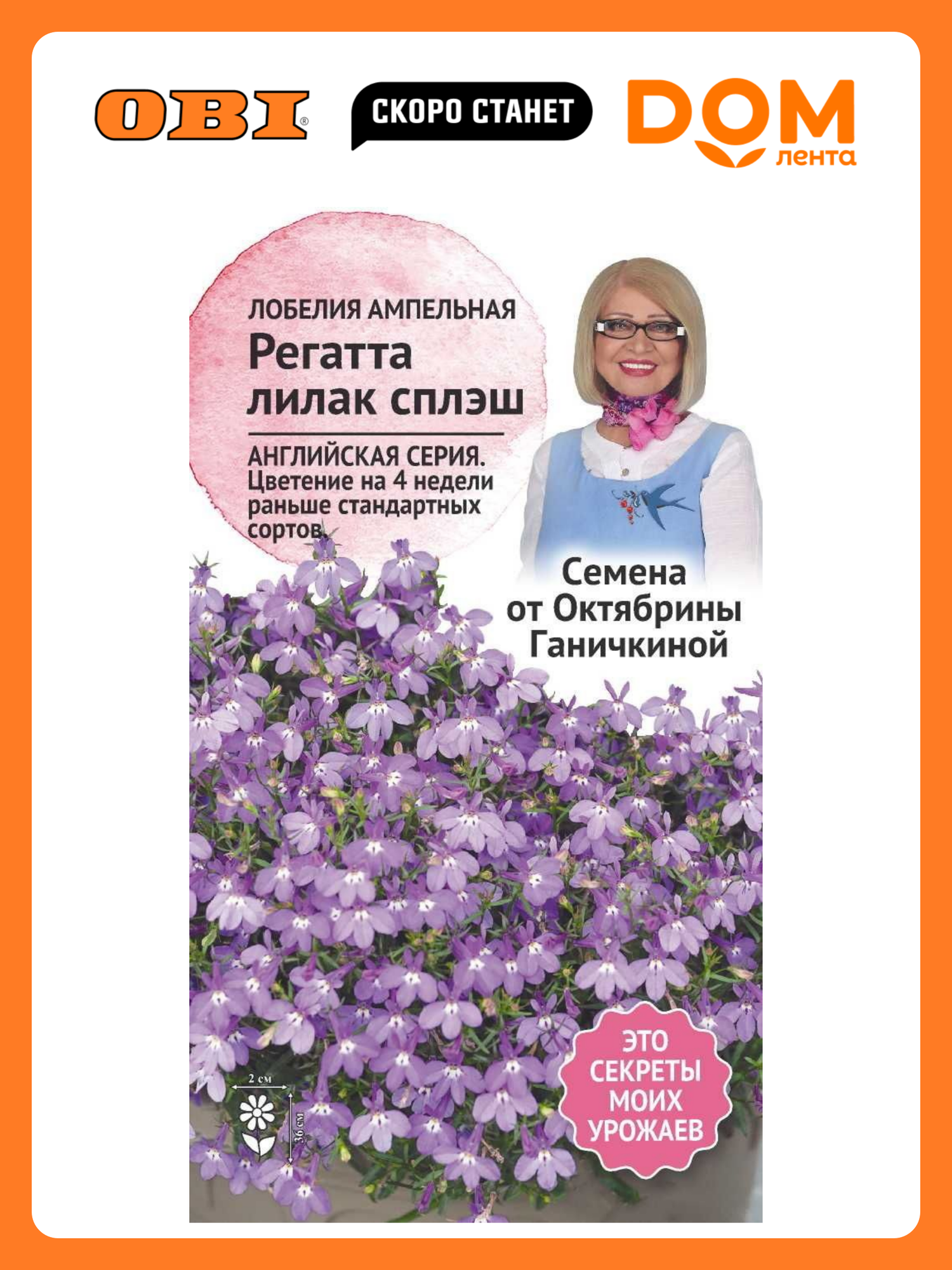 Семена Лобелия Регатта Лилак сплеш 10 шт Семена от Октябрины Ганичкиной