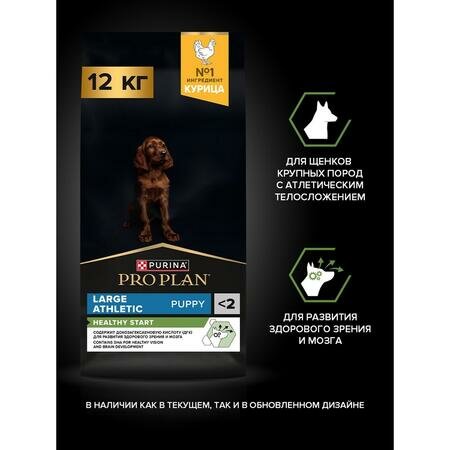 PRO PLAN HEALTHY START 12 кг сухой корм для щенков крупных пород с атлетическим телосложением, с высоким содержанием курицы