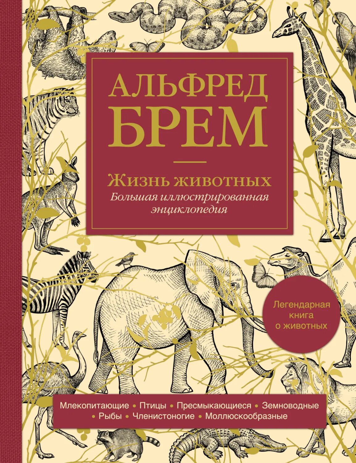 Жизнь животных. Большая иллюстрированная энциклопедия [Цифровая книга]