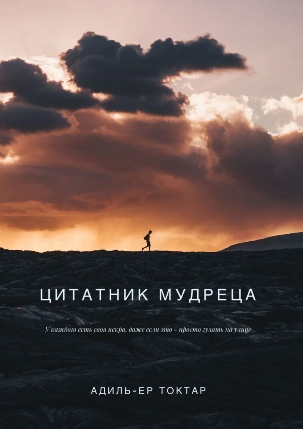 Цитатник мудреца [Цифровая книга]