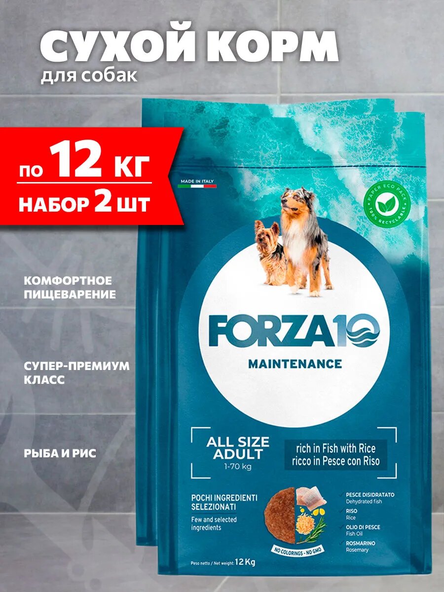 Корм сухой Forza10 Dog Maintenance Adult All Size для взрослых собак всех пород с рыбой и рисом, 12 кг х 2 шт