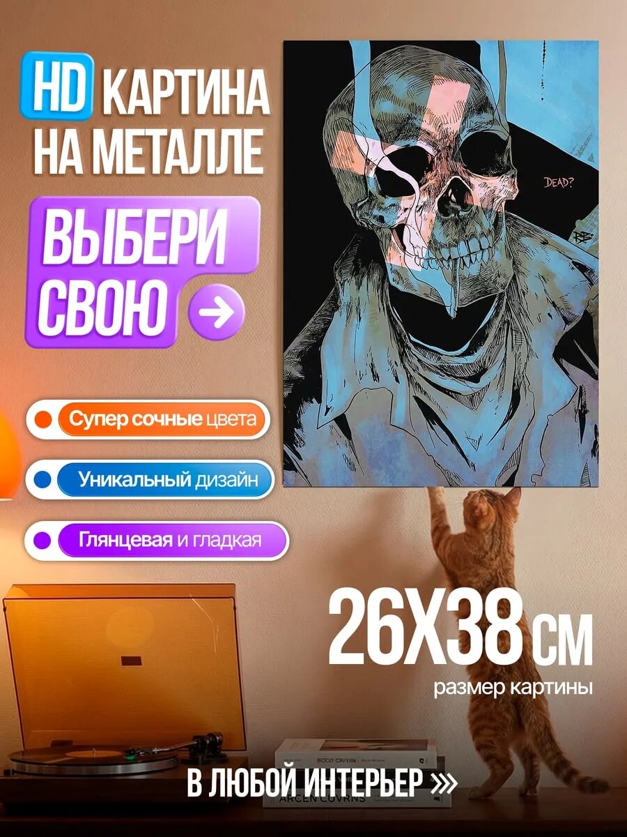 Картина на HD металле Череп в плаще