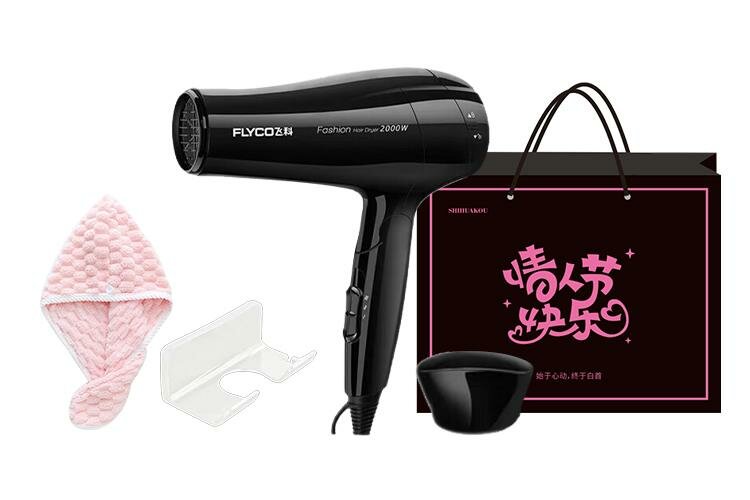 Фен унисекс FLYCO Fashion Hair Dryer 2000W, FH6231 Valentine's Day Outfit