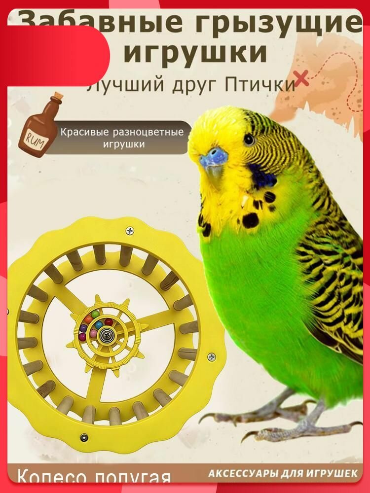 Колесо для бега питомца-головоломки