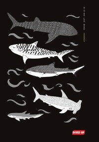 Diving Log Book. Sharks — фото 1