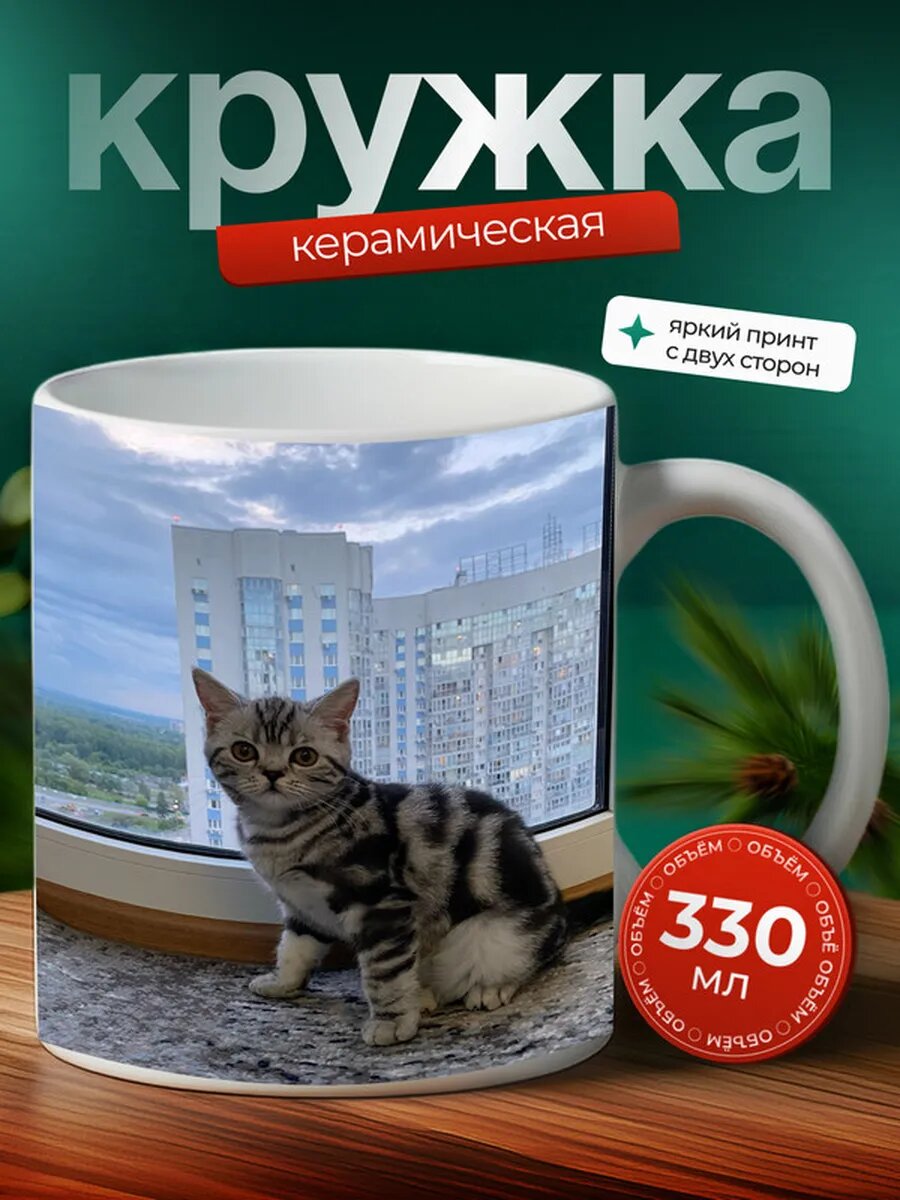 Кружка Ориентальная длинношерстная кошка 45,