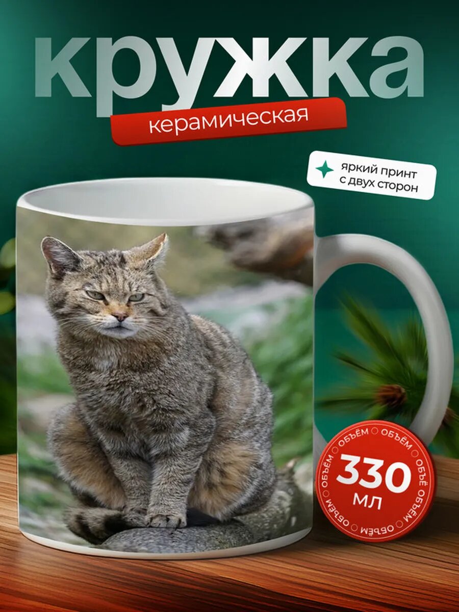 Кружка Венгерский болотный кот 21,