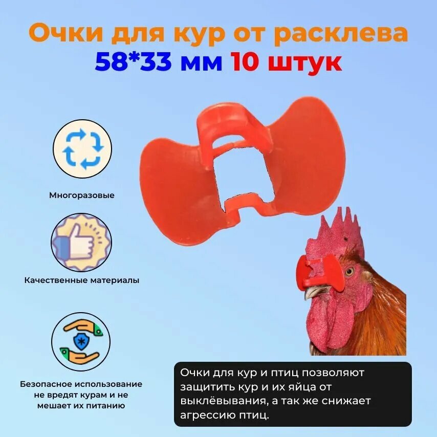 Очки от расклева для птиц
