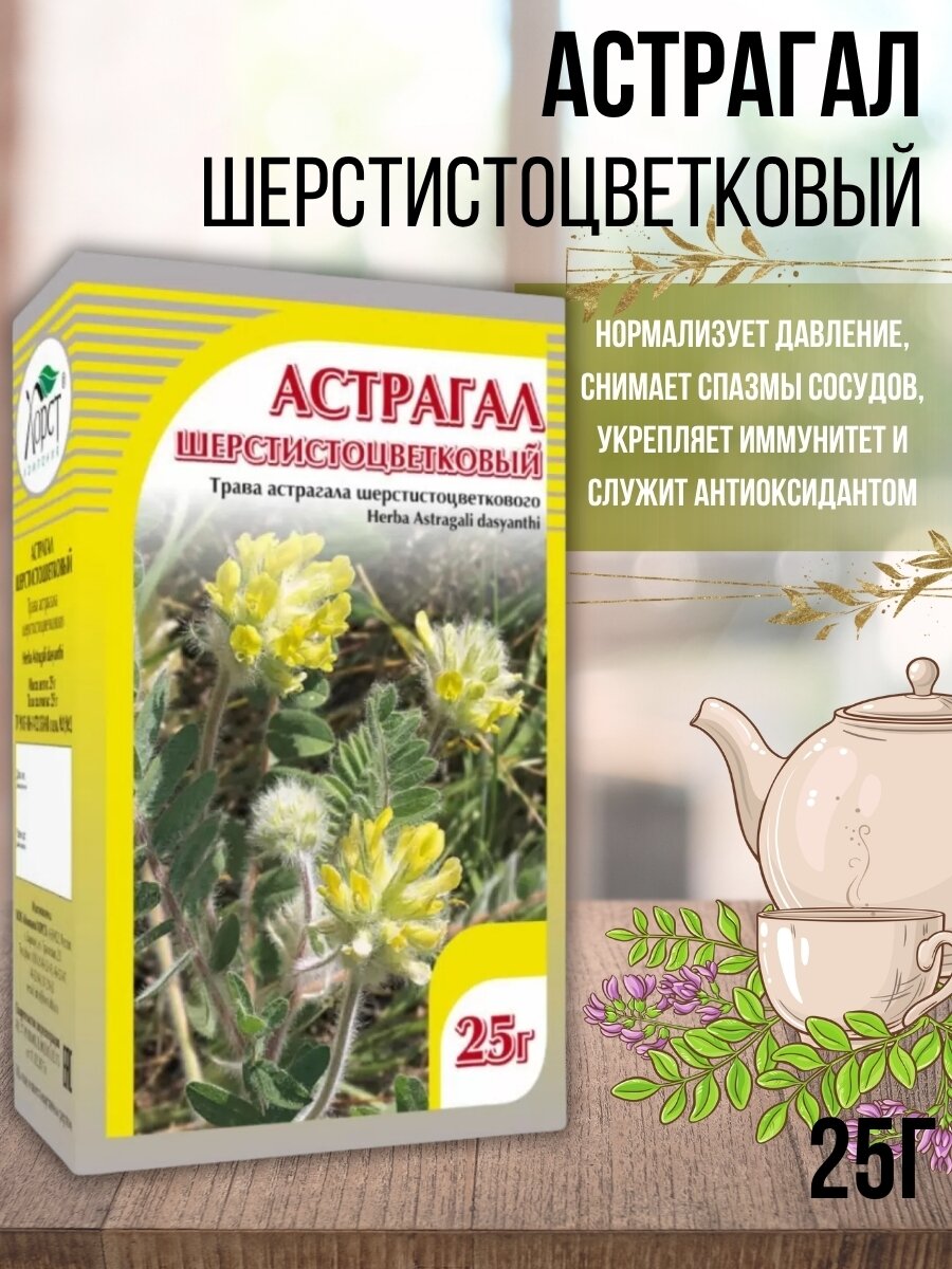 Астрагал шерстицветковый трава, чайный напиток, 25 гр, Хорст