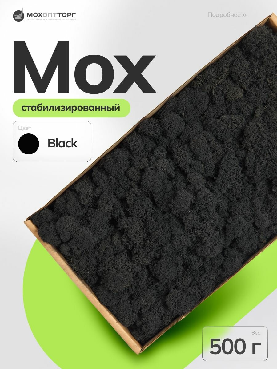 Мохоптторг Стабилизированный мох Мох, 7 см, 500 гр, 1 шт