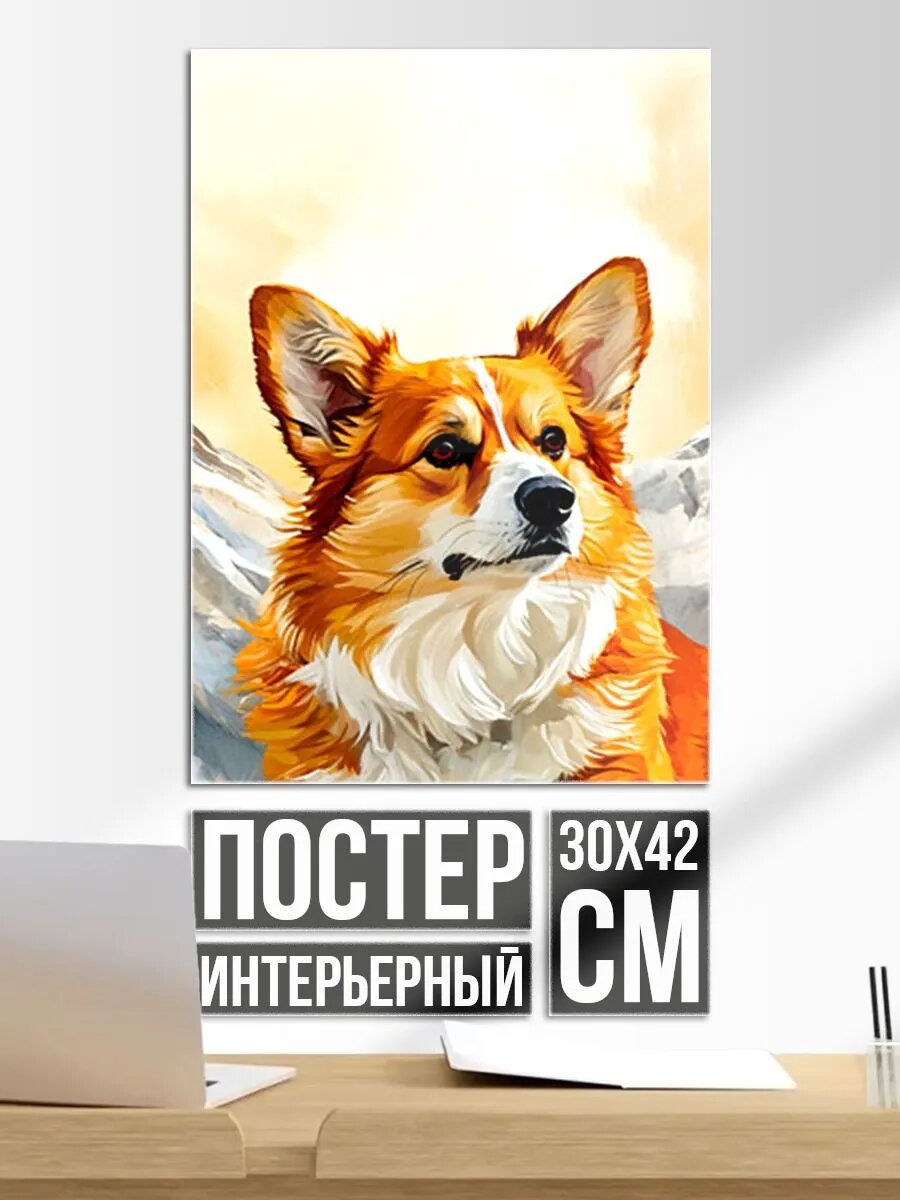 Постер на стену Корги в белых горах