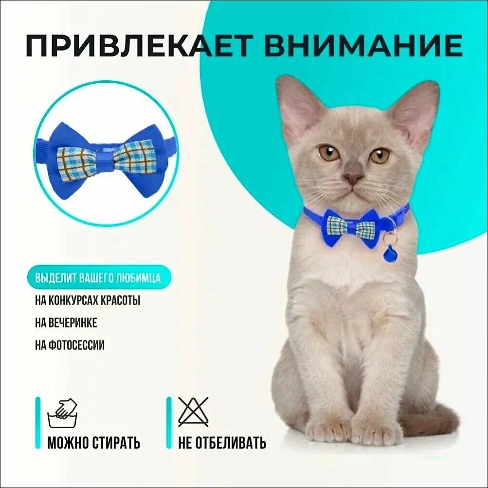 Ошейник для кошек и собак мелких пород, с колокольчиком и бантом, цвет синий — фото 1