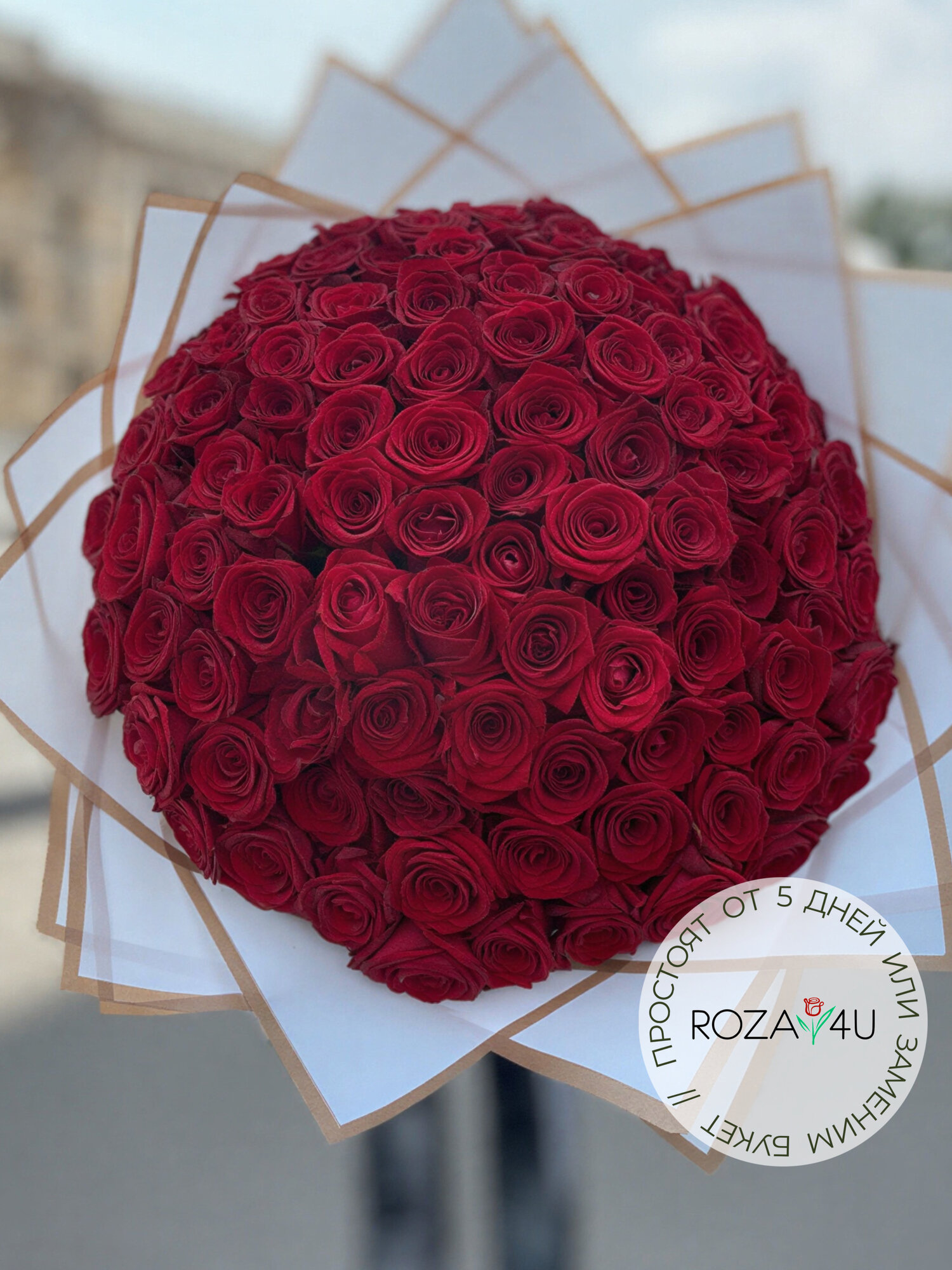 Букет цветов 101 красная роза, сорт Ред Наоми, высота 50 см, монобукет от ROZA4U
