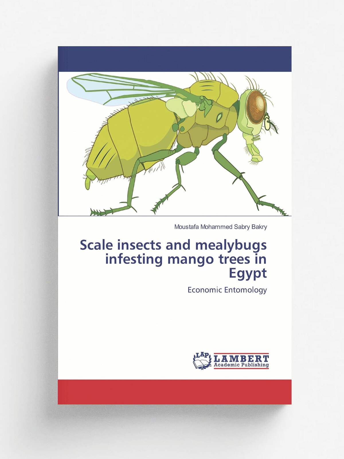 Scale insects and mealybugs infesting mango trees in Egypt