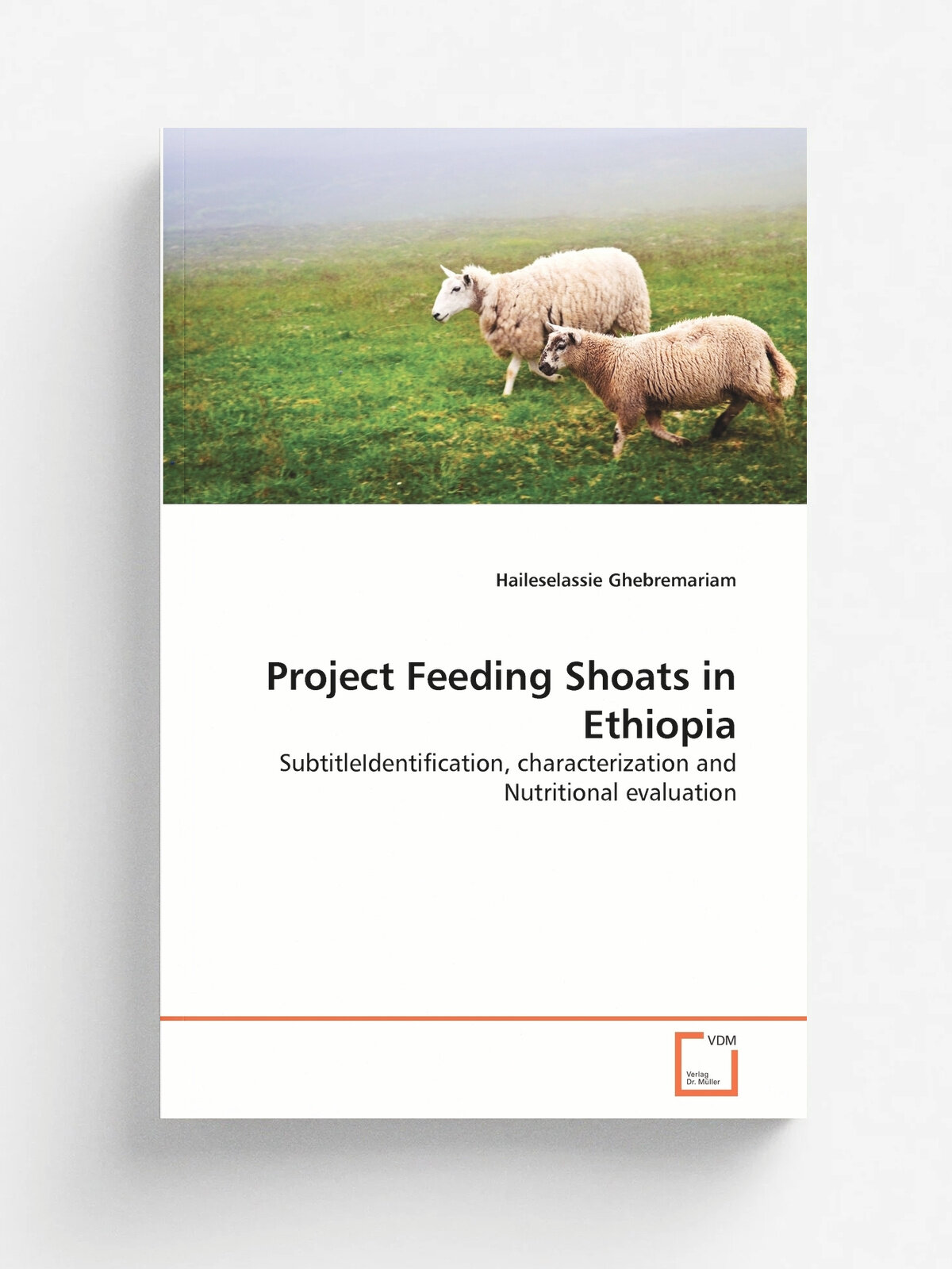 Project Feeding Shoats in Ethiopia