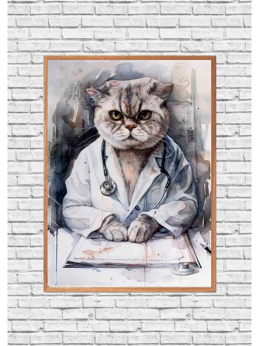 Шотландский вислоухий кот Доктор 3, Плакат 30x42см