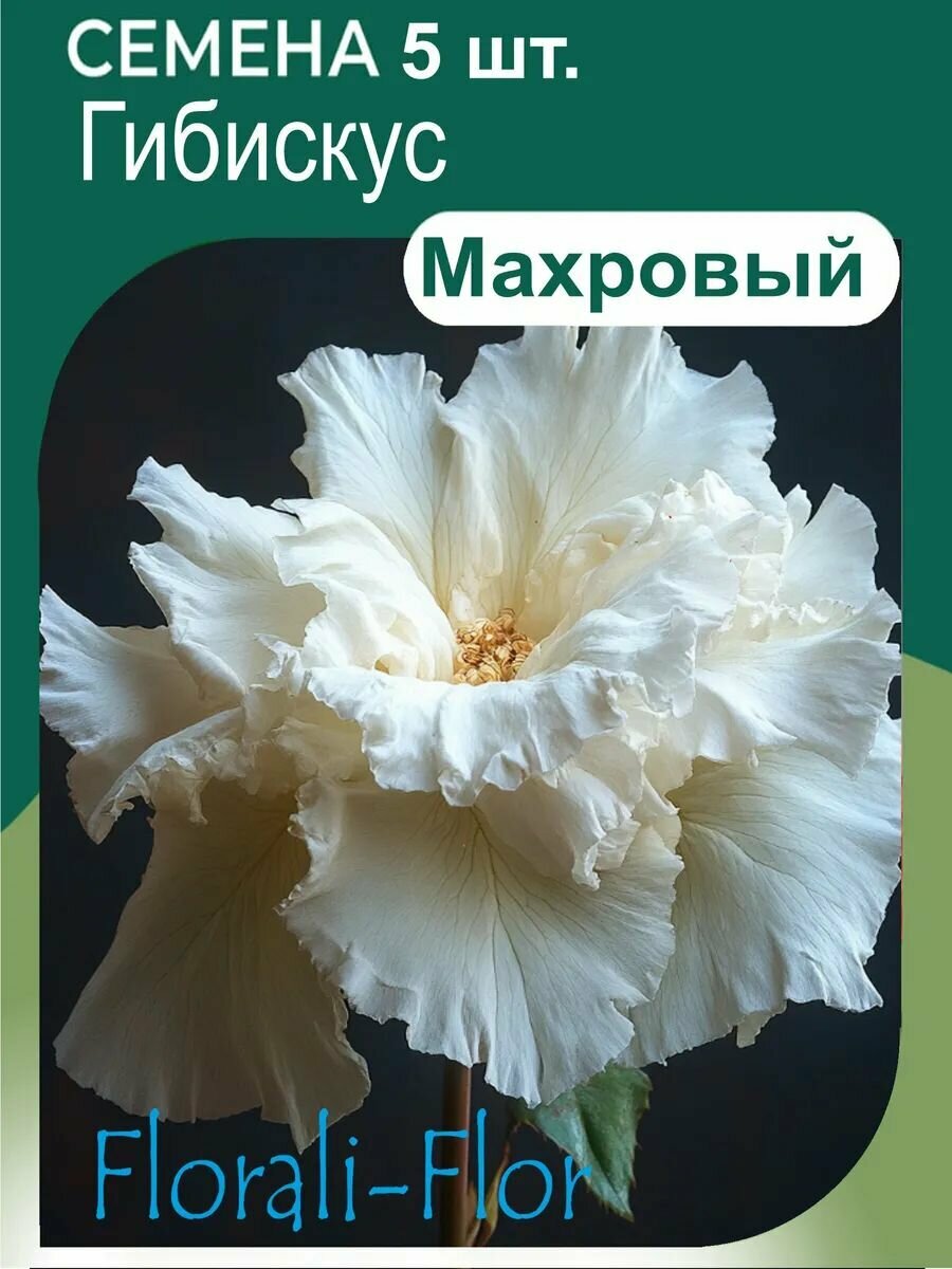 Семена Гибискус махровый