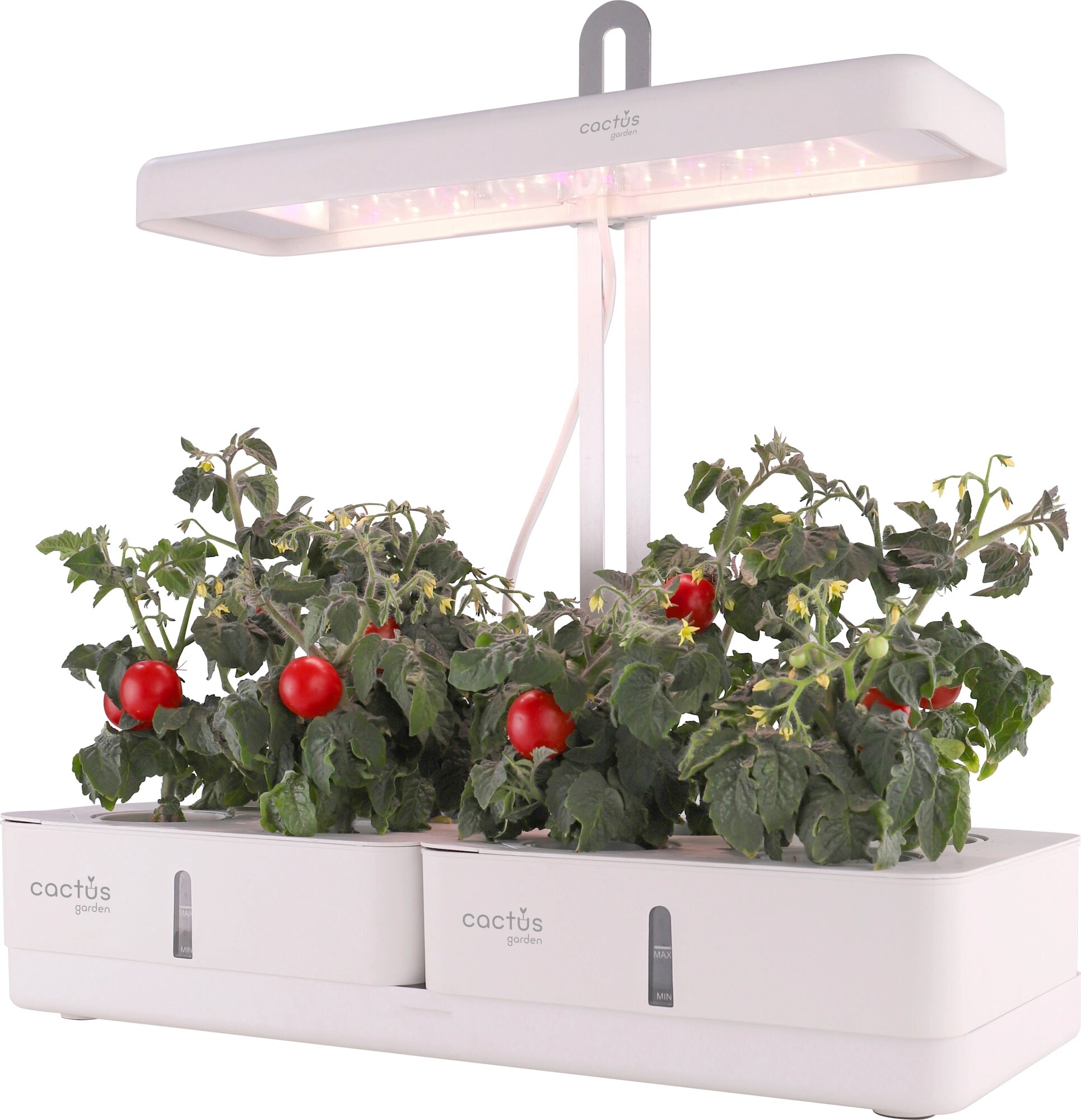 Гидропонная установка Cactus Garden 3.0л 20 белый (CS-LEDPOT-08)