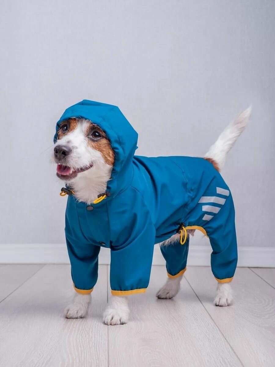 Дождевик для собак D02V, водоотталкивающий, гипоаллергенный, размер L, 1 шт