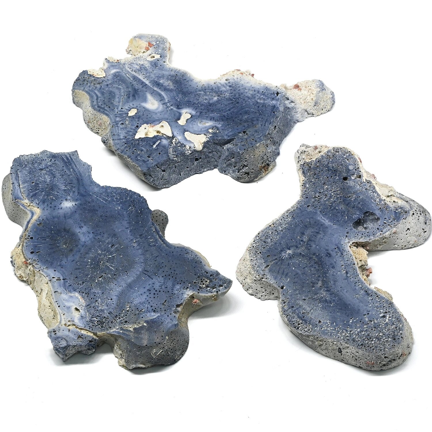 Камень коралл голубой "Акори" 128*85*12мм .