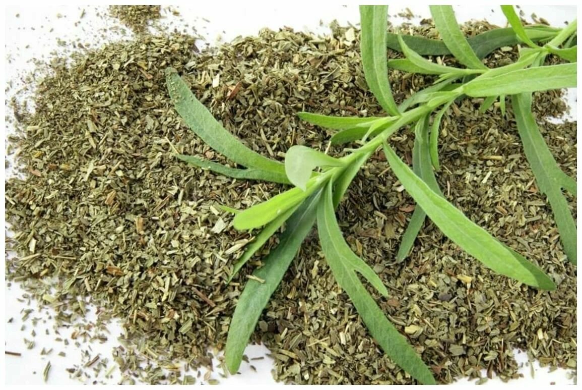 Тархун эстрагон молотая