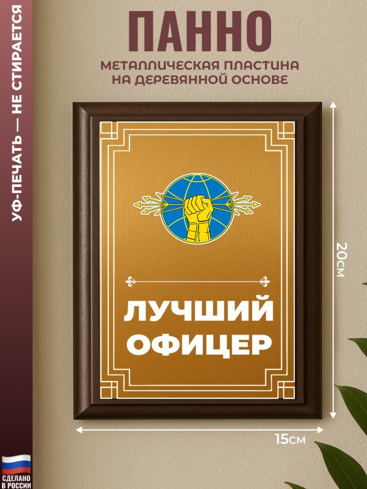 Настенный диплом "Лучший офицер" РЭБ