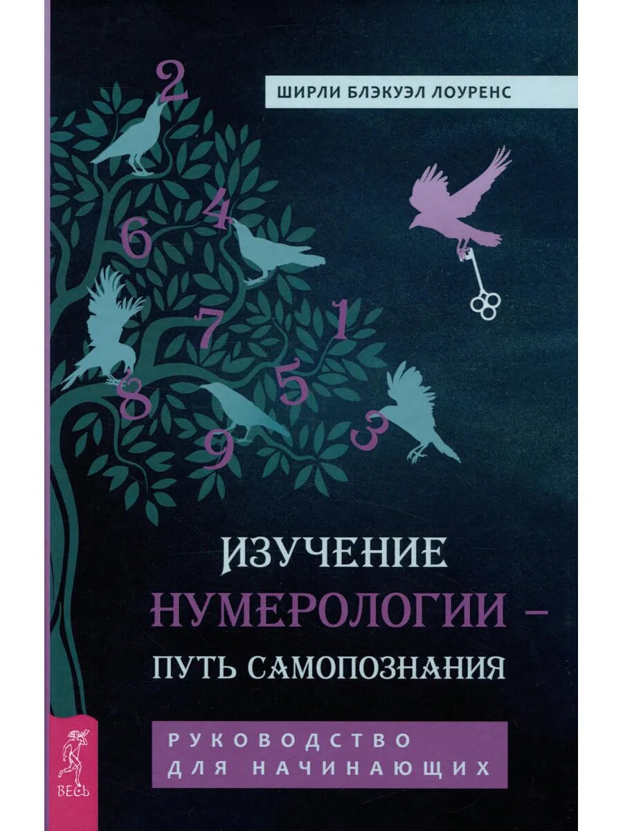 Изучение нумерологии — путь самопознания. Руководство для на