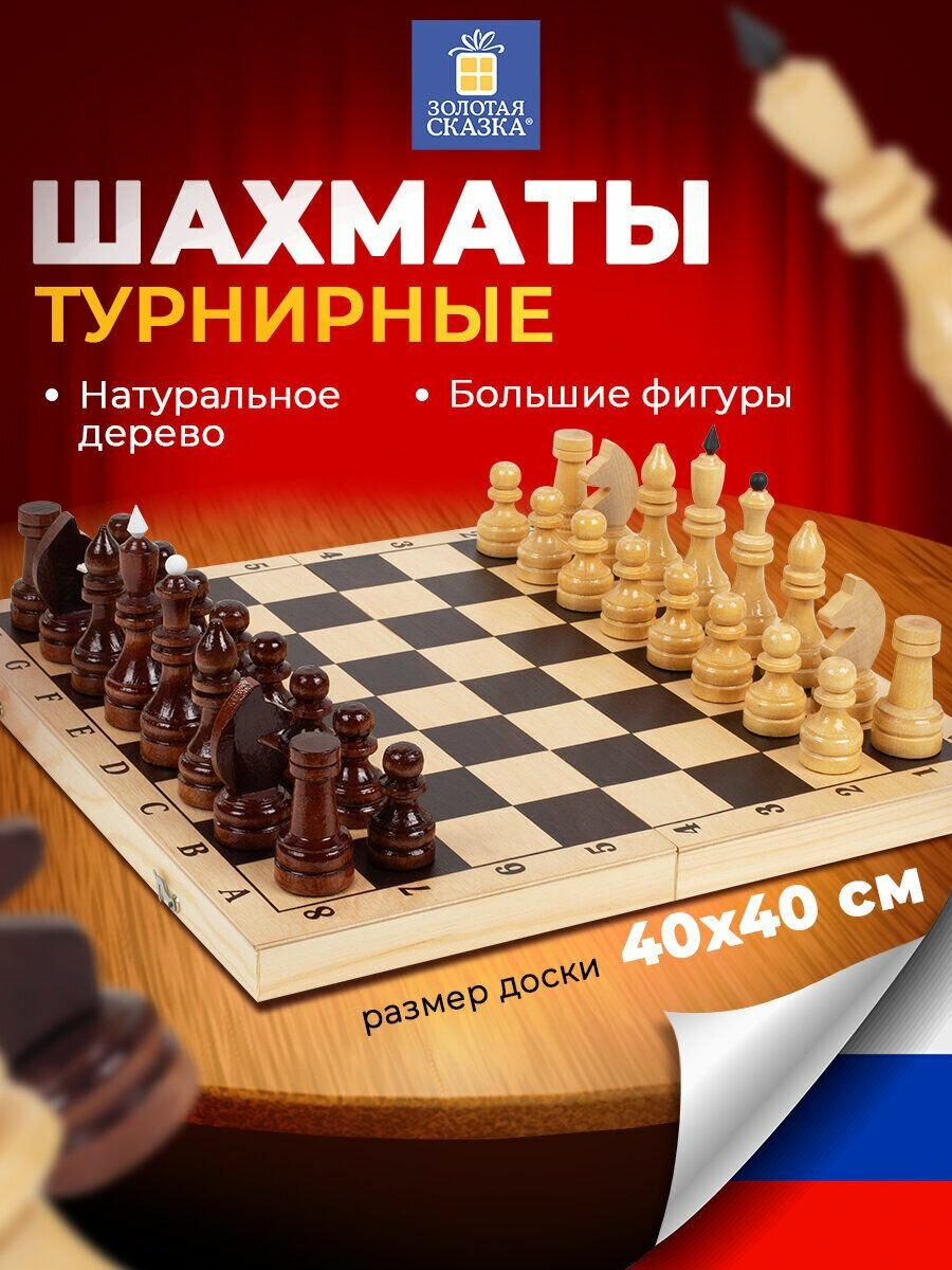 Шахматы