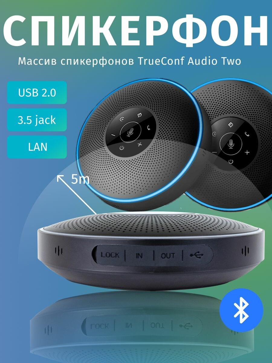 Массив спикерфонов Труконф Audio Two
