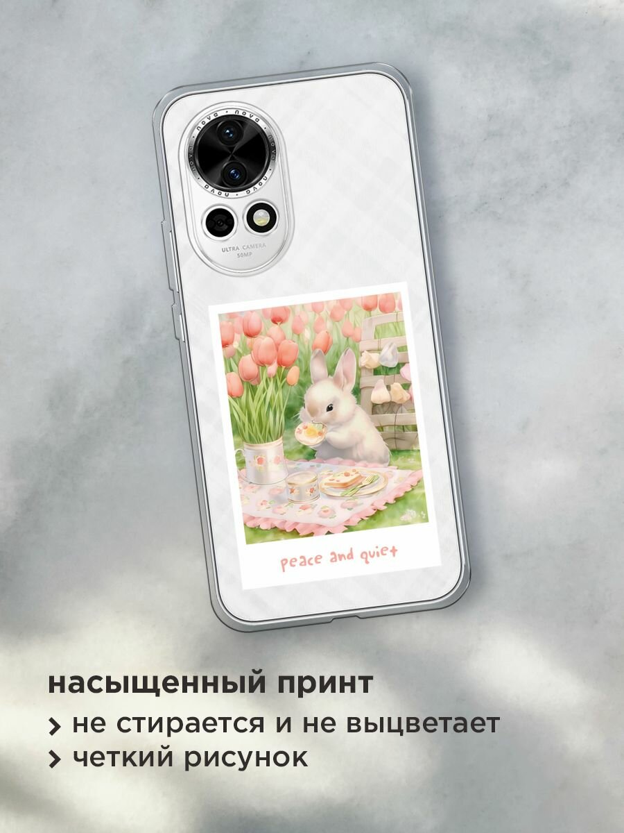 Чехол на Huawei Nova 12/Nova13 / Хуавей Нова 12/Нова 13 с принтом "Кролик на пикнике", прозрачный — фото 1