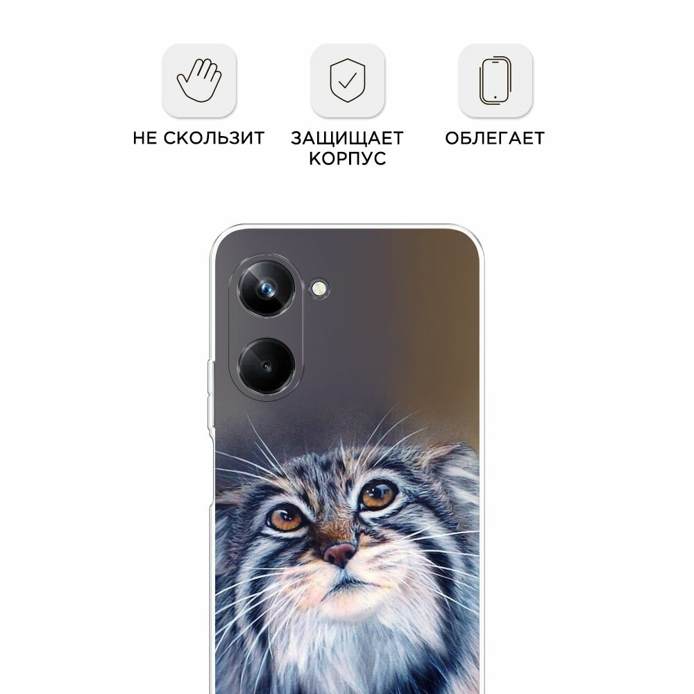 Чехол на Realme 10 Pro / Реалми 10 Про с принтом "Кот манул 2" — фото 1