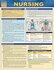 Nursing QuickStudy Laminated Reference Guide (QuickStudy Academic) First Edition